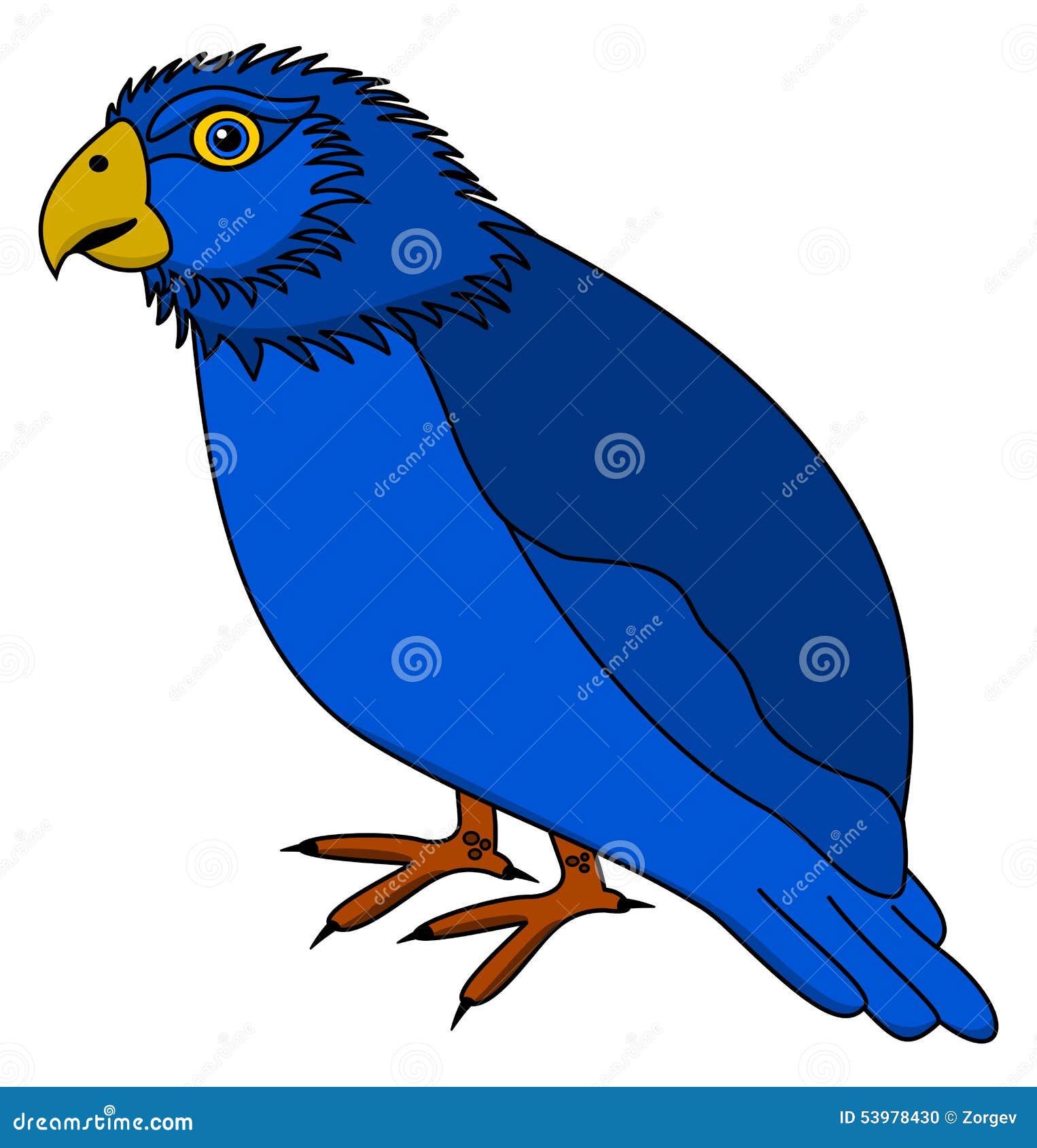 Blue Parakeets Budgerigars, Home Pet , Pet Parakeet Or Budgie Or Shell ...
