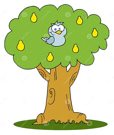 Blue Partridge in a Pear Tree Stock Vector - Illustration of cartoon ...