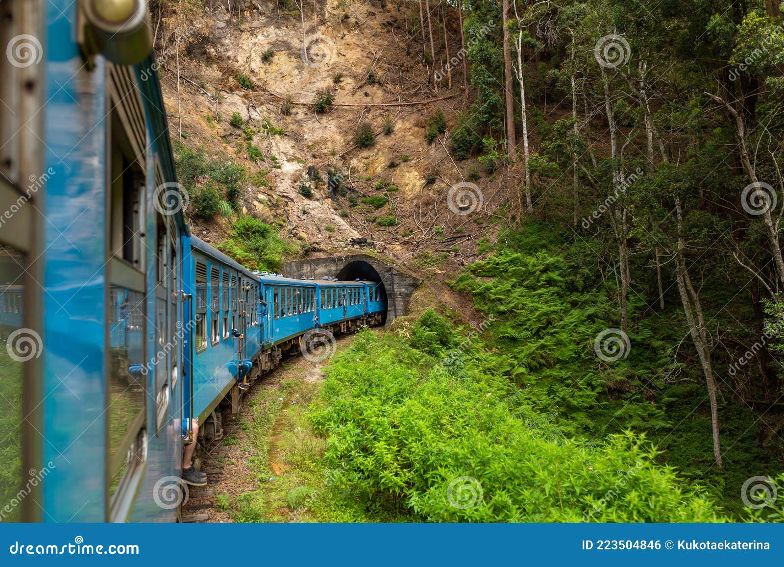 A Blue Passenger Train Moves through the Jungle of Sri Lanka Stock ...