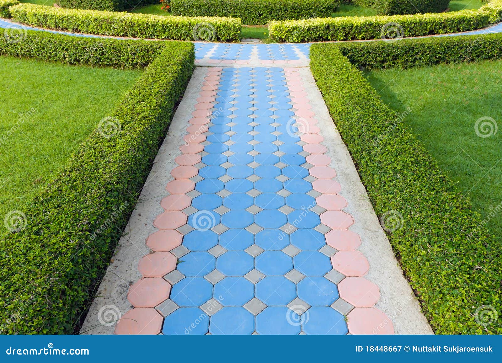 Blue path stock image. Image of blue, field, pathway - 18448667