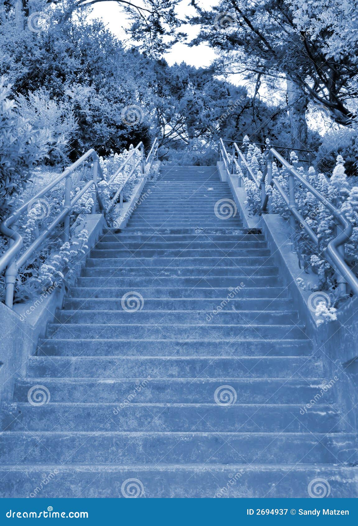 The blue path stock image. Image of concept, trees, nature - 2694937