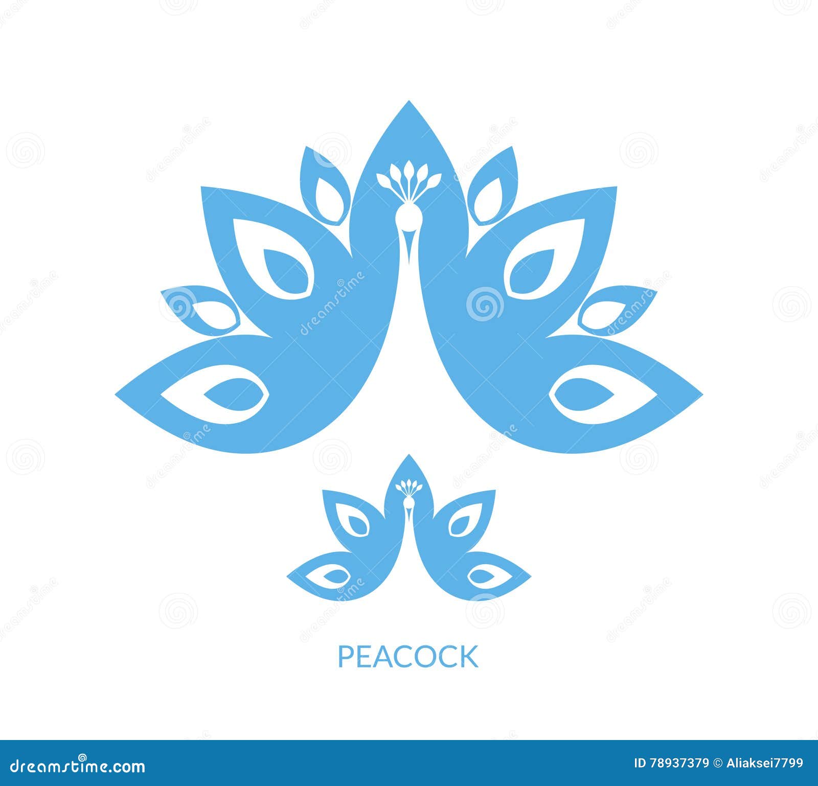 Blue peacock stock vector. Illustration of blue, elegance - 78937379
