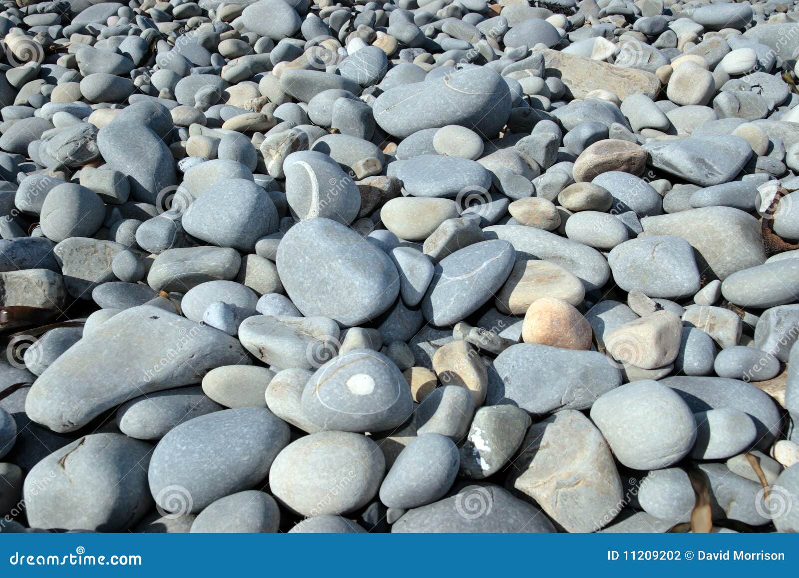 Blue pebble beach stock photo. Image of gray, dark, blue - 11209202