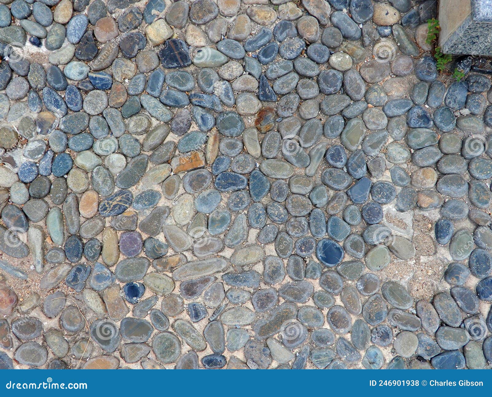 Pebble Pathway Royalty-Free Stock Image | CartoonDealer.com #605878