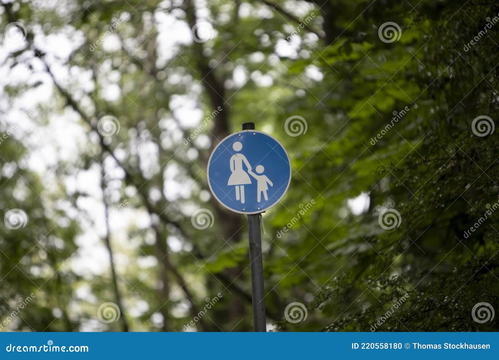 Blue Pedestrian Path Sign between Trees and Bushes Stock Photo - Image ...