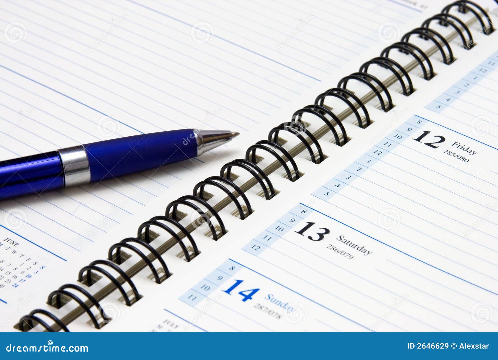 Blue pen stock image. Image of page, date, macro, business - 2646629