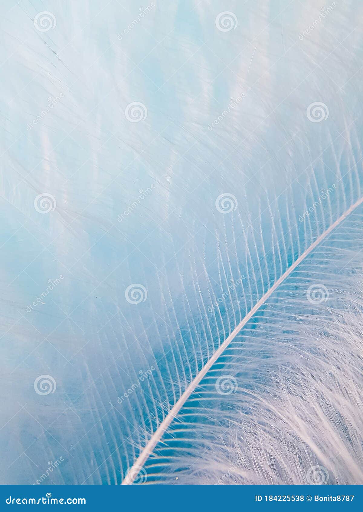 Blue Pen Macro, Middle of the Pen Close-up. Fluffy and Light, Tender ...