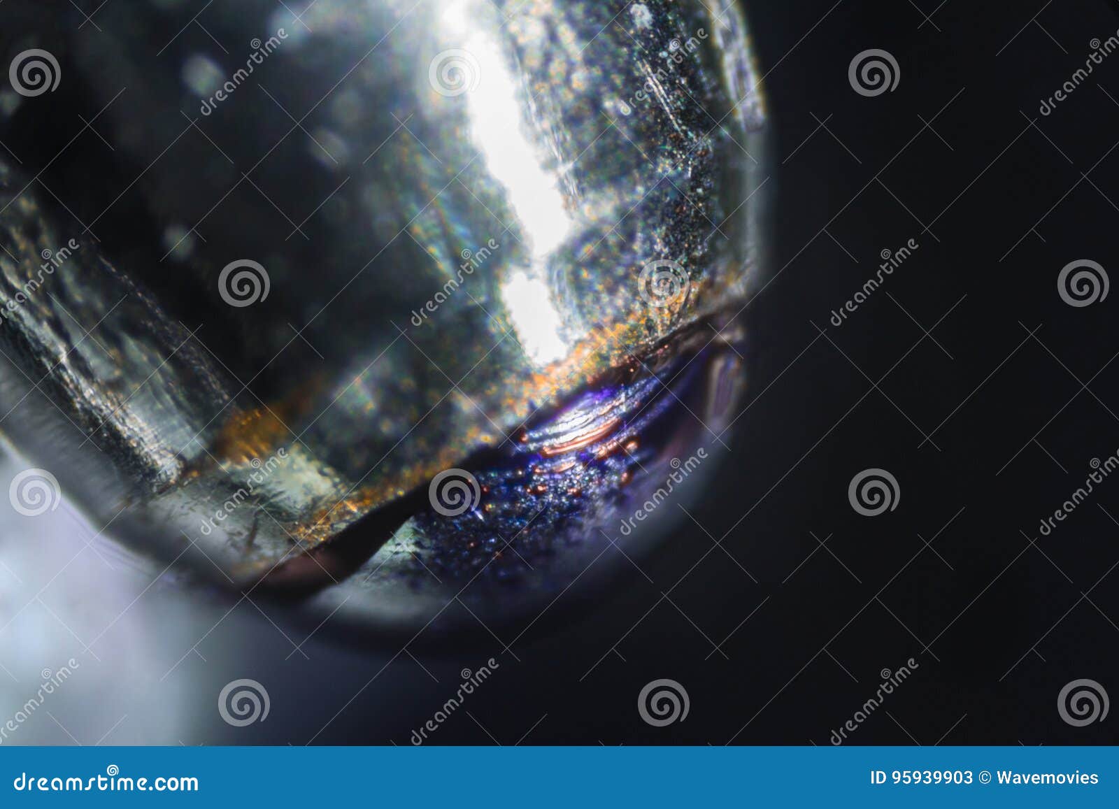 Blue Pen Tip Under the Microscope Stock Image - Image of macro, micro ...