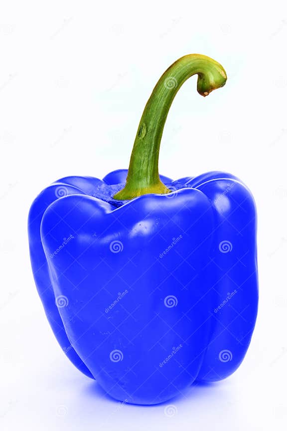 Blue pepper stock image. Image of appetite, color, bizarre - 13675605
