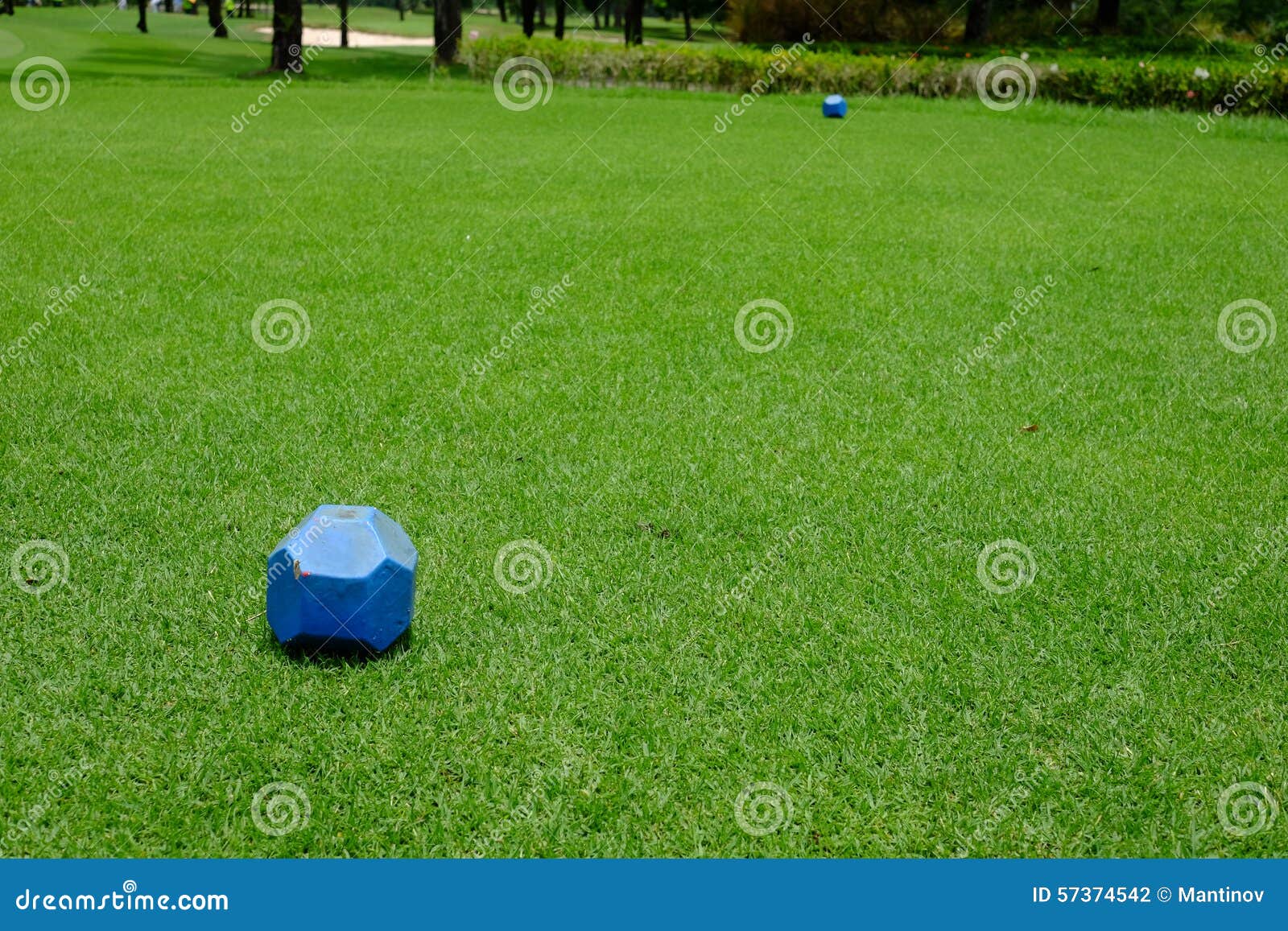 Blue pin on teeing ground stock photo. Image of hole - 57374542