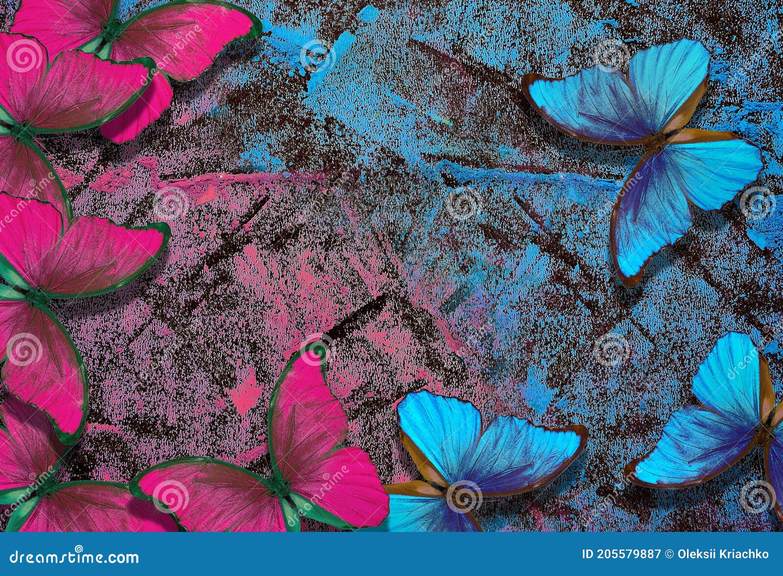 Blue Butterfly Backgrounds Pink