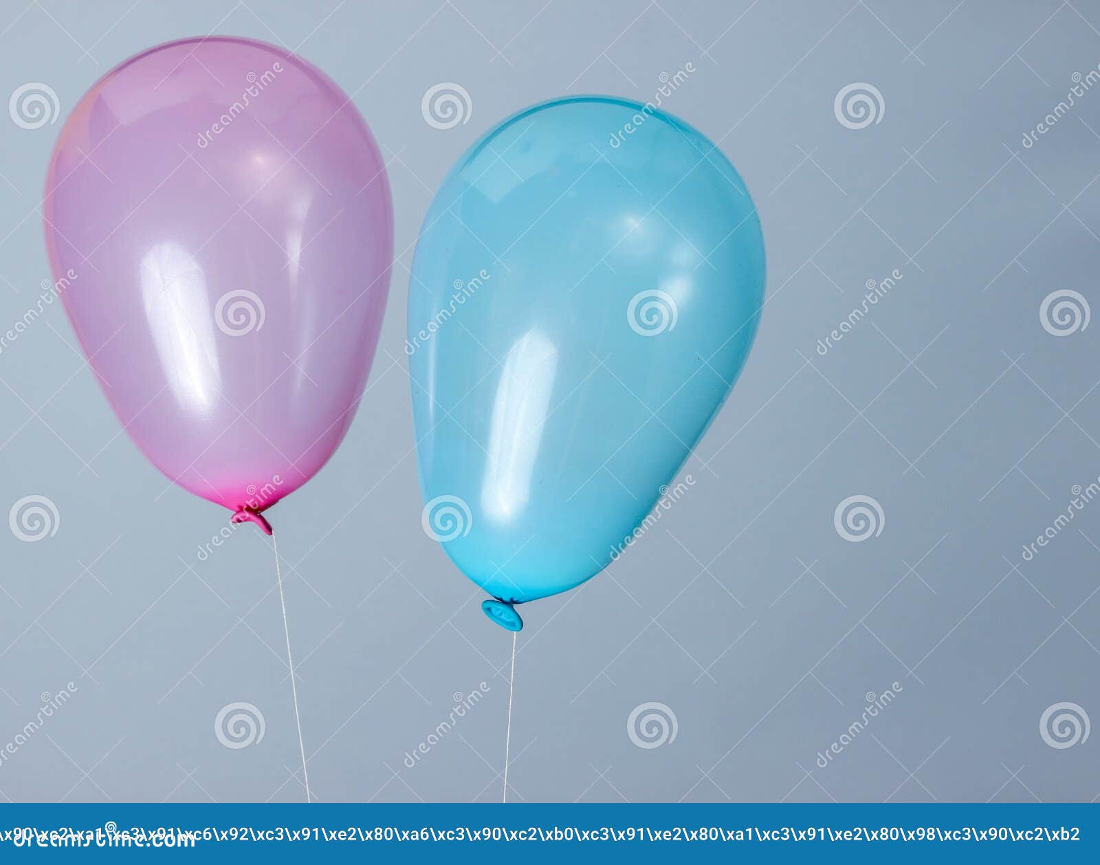 Blue and pink balloons stock photo. Image of blue, colorful - 140044824
