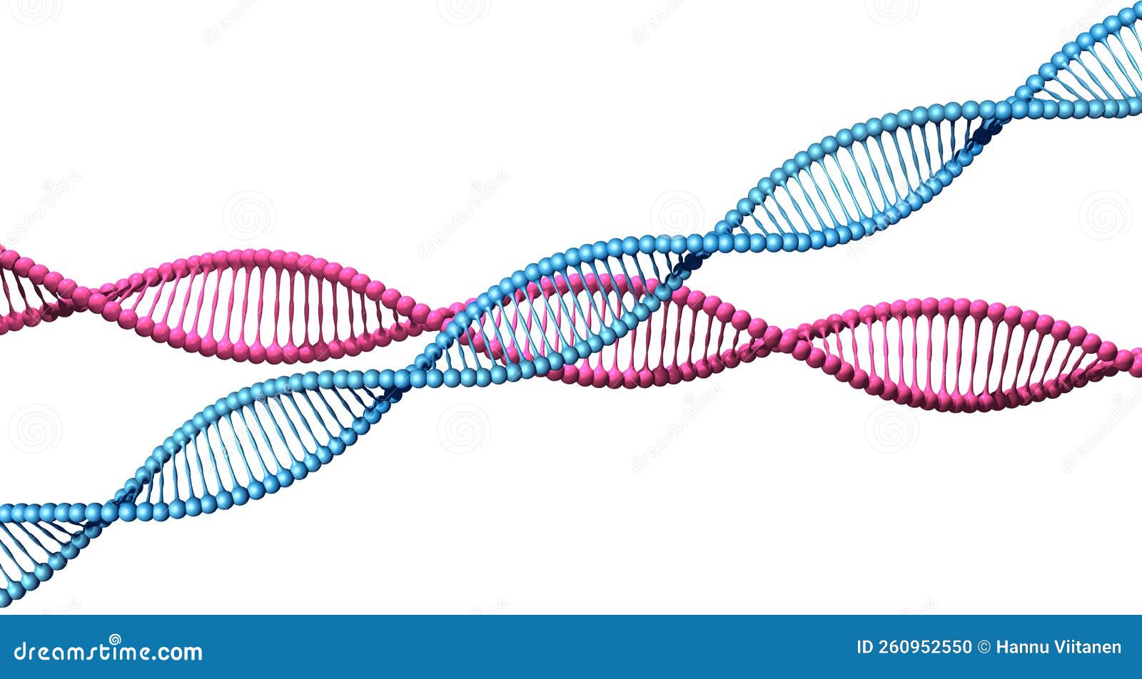 Blue and Pink DNA Code Helix Spirals 3D Isolated Stock Illustration ...