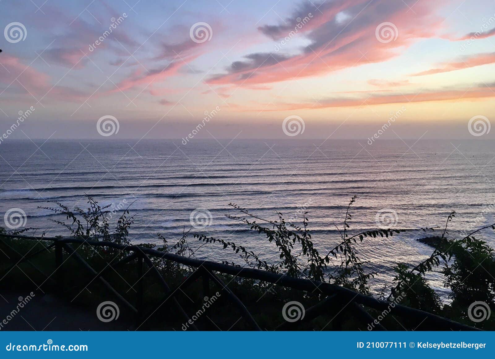Blue, Pink, Yellow Sunset with Plant Shadows and Water Stock Image ...