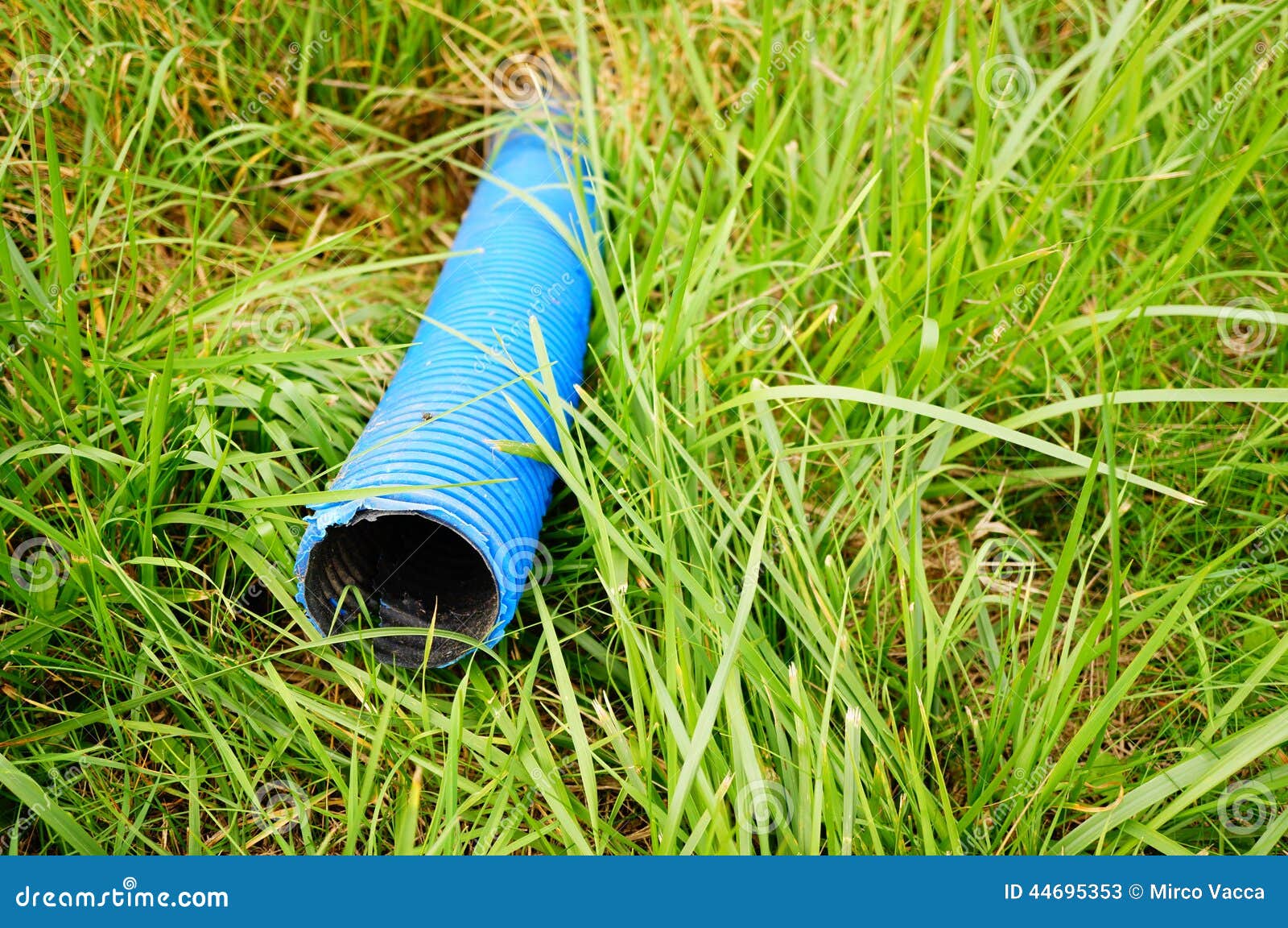 Blue pipe stock image. Image of lawn, plant, green, grass - 44695353