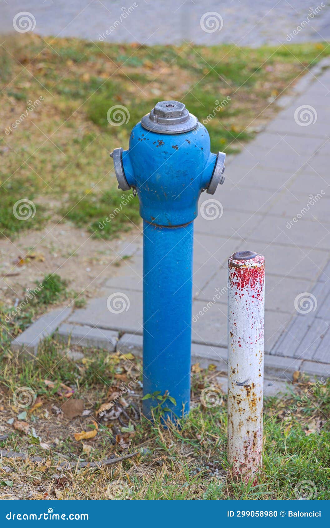 Blue Fire Hydrant stock photo. Image of serbia, water - 299058980