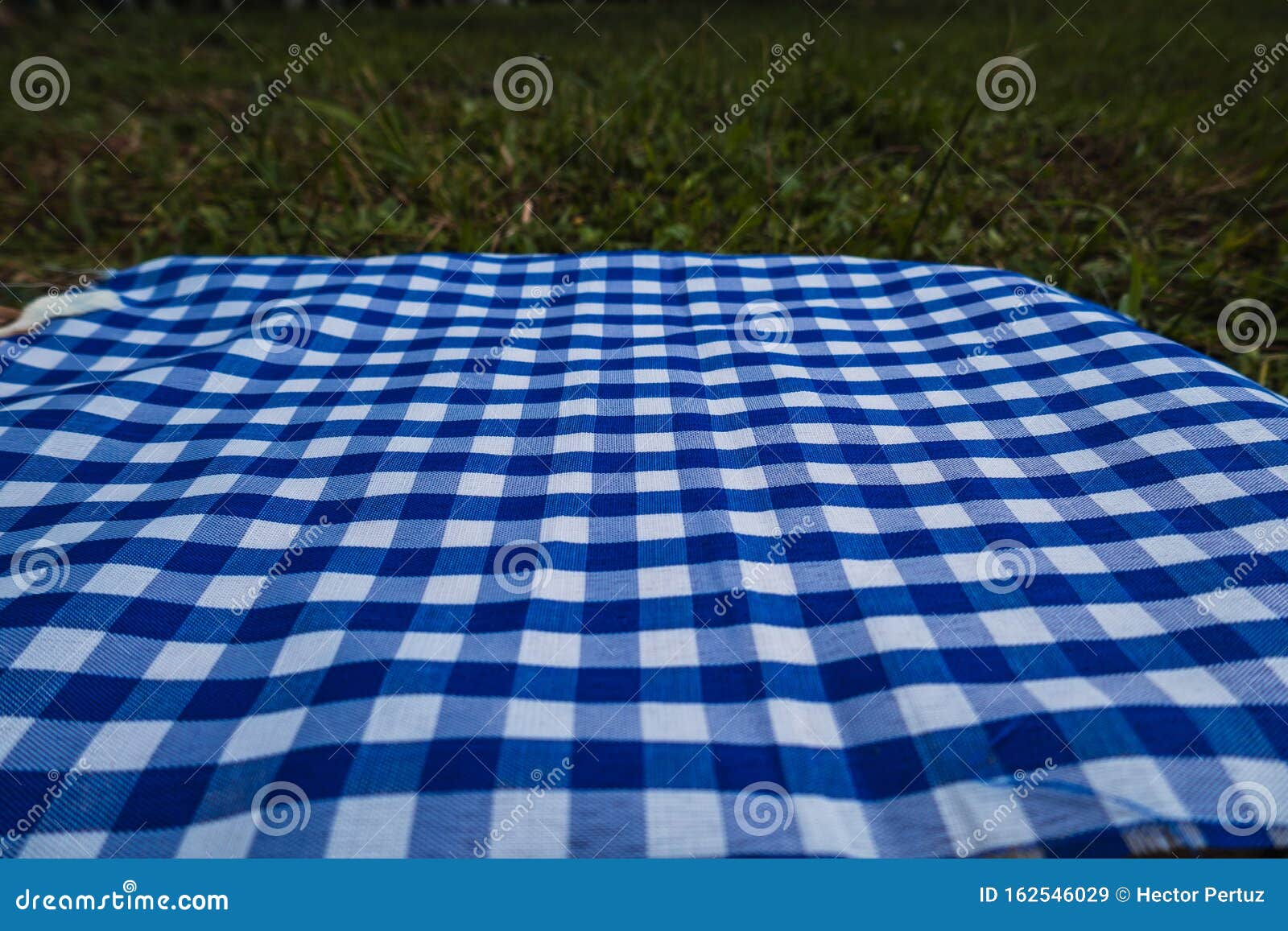 Blue Plaid Tablecloth. Front View, Flat Design Stock Image - Image of ...