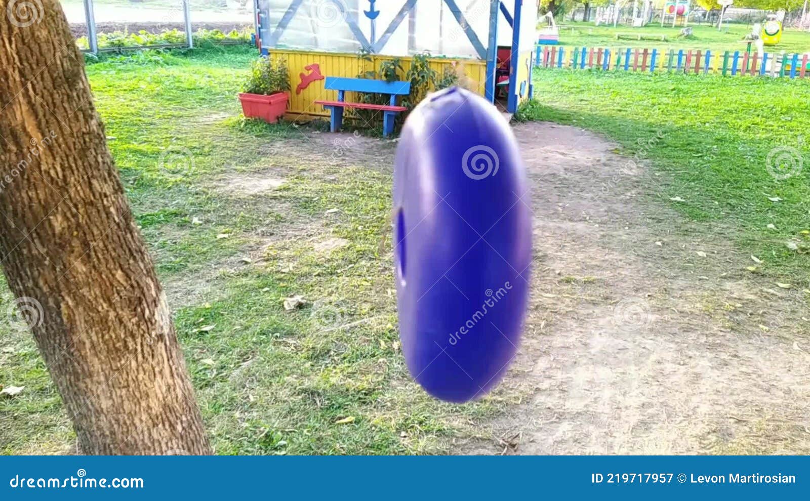 Blue Plastic Circle Suspended from a Tree from a Rope Swings from Side ...
