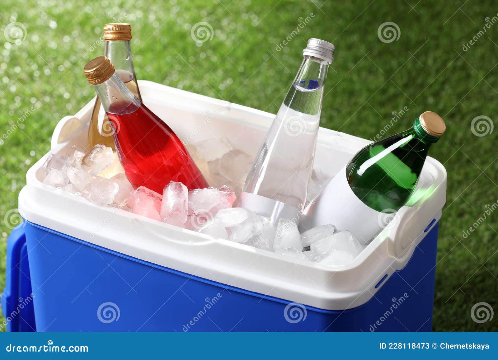 Blue Plastic Cool Box with Drinks and Ice Cubes on Green Grass Stock ...