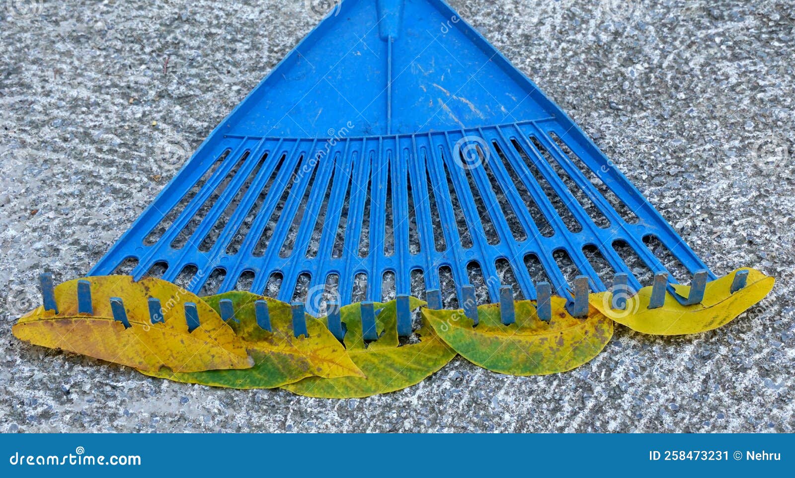 Blue Plastic Gardening Rake with Autumn Leaves Stock Image - Image of ...