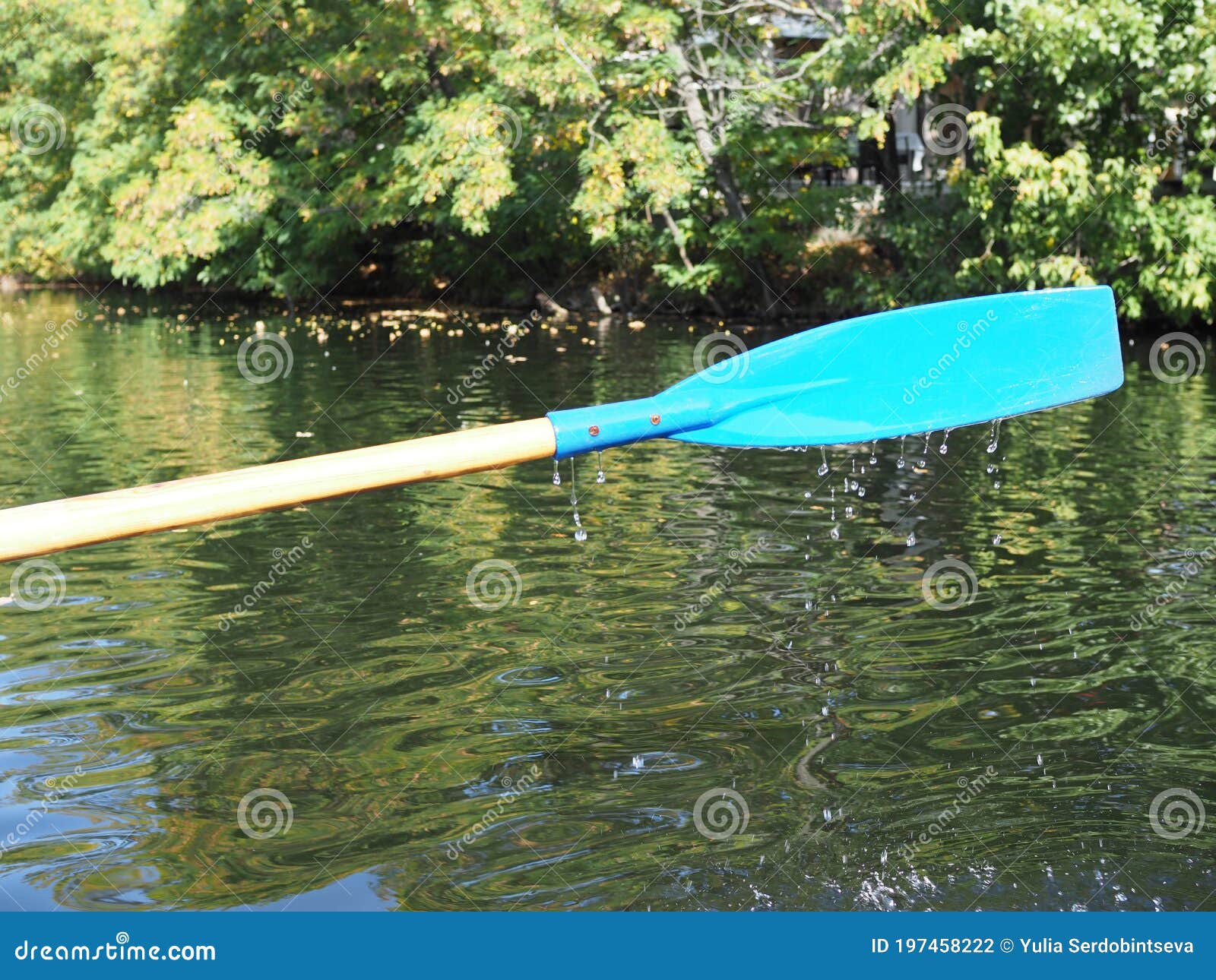 Blue Plastic Paddle Paddles Over the Water after a Close-up Stroke ...