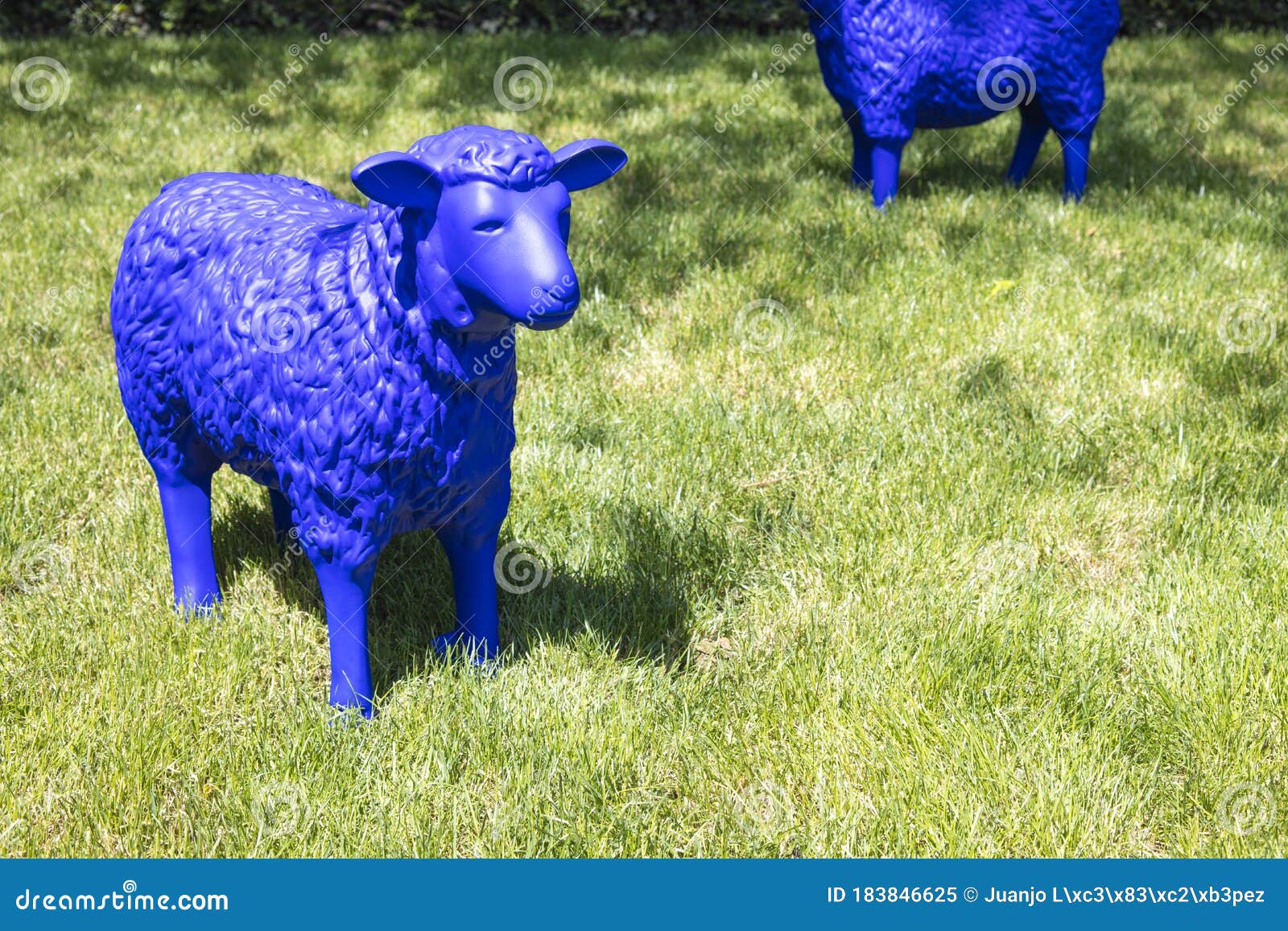 Plastic Toy Sheep On White Isolated Background Stock Photo ...