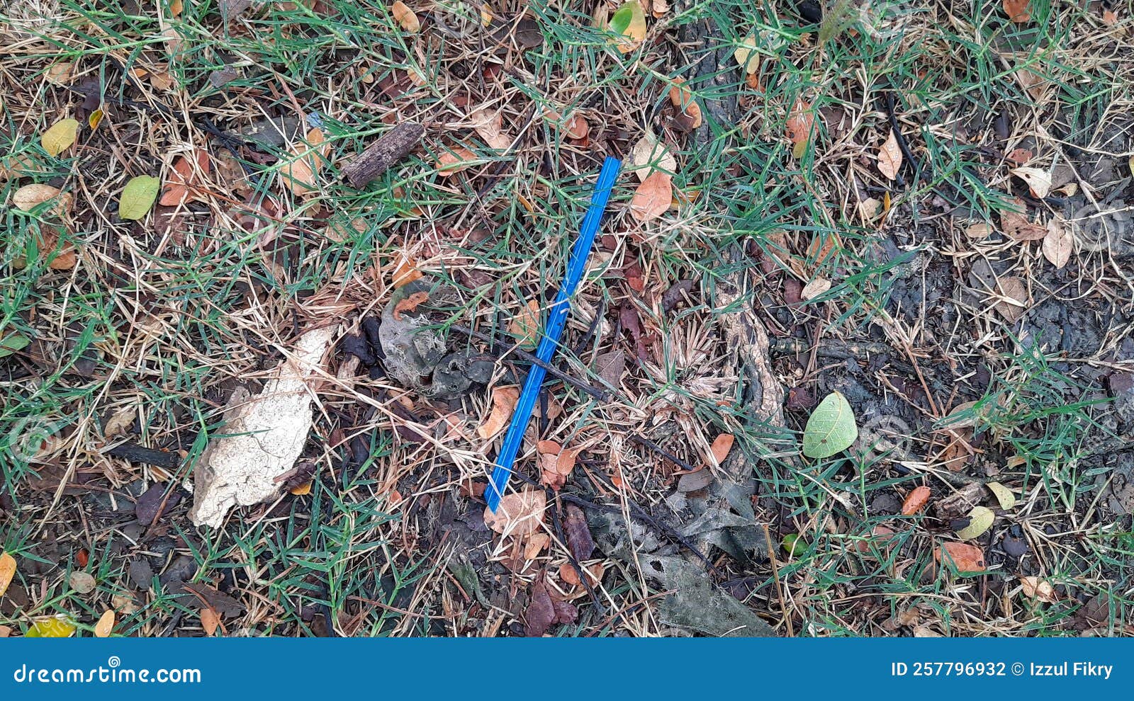 Blue Plastic Straw Pollution Waste Trash Garbage Stock Photo - Image of ...