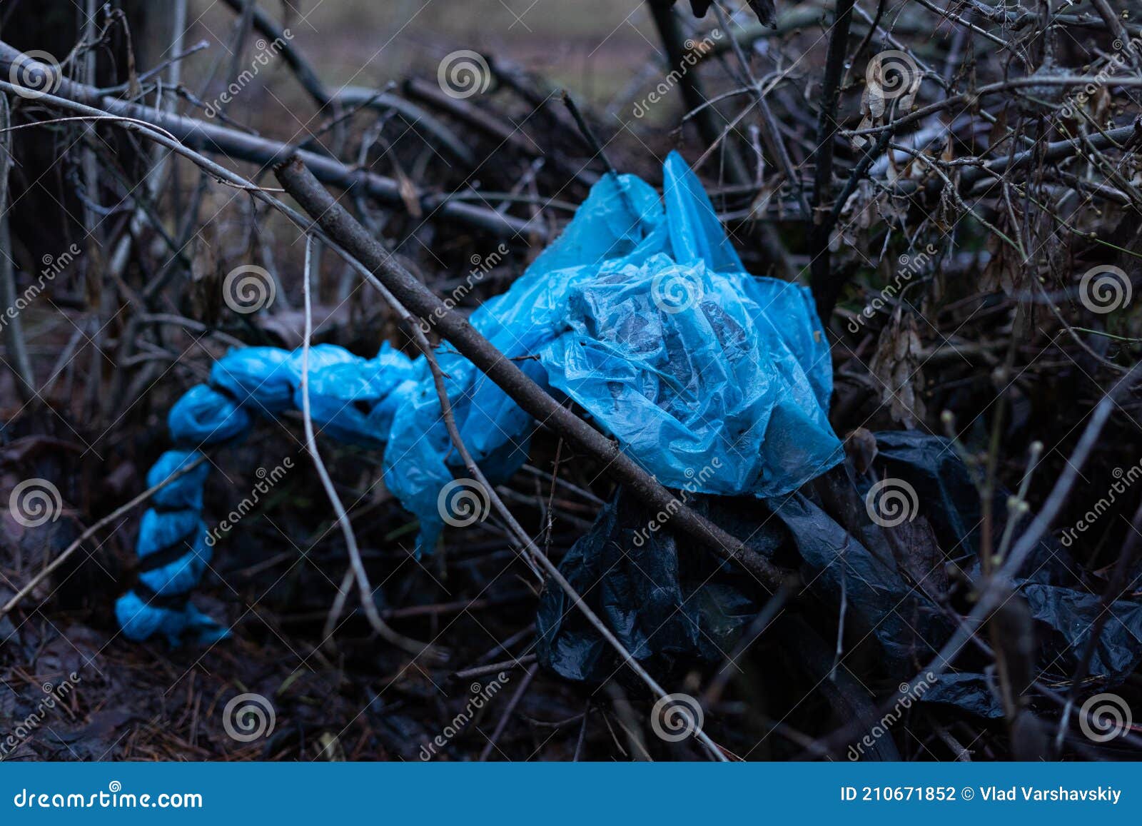 Blue Plastic Wrap Lies Discarded in the Forest in the Branches Stock ...