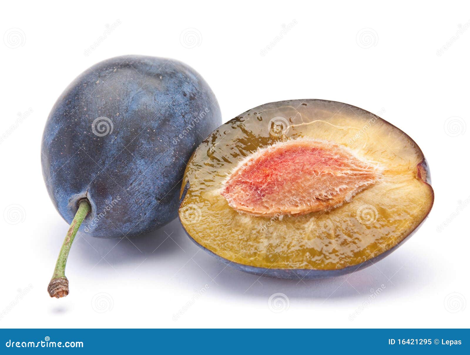 Blue plum stock image. Image of blue, fruit, closeup - 16421295