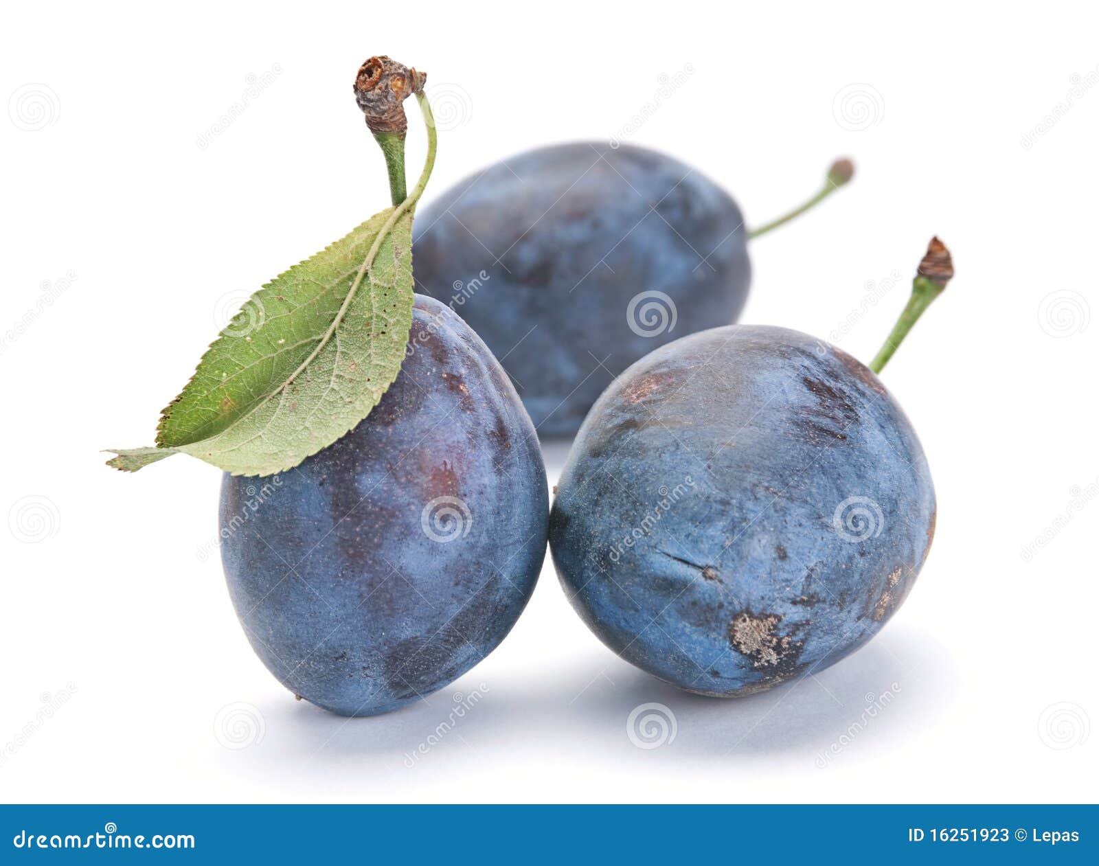 Blue Plum On A Background Of Ready Made Compote In Large Glass Jars ...