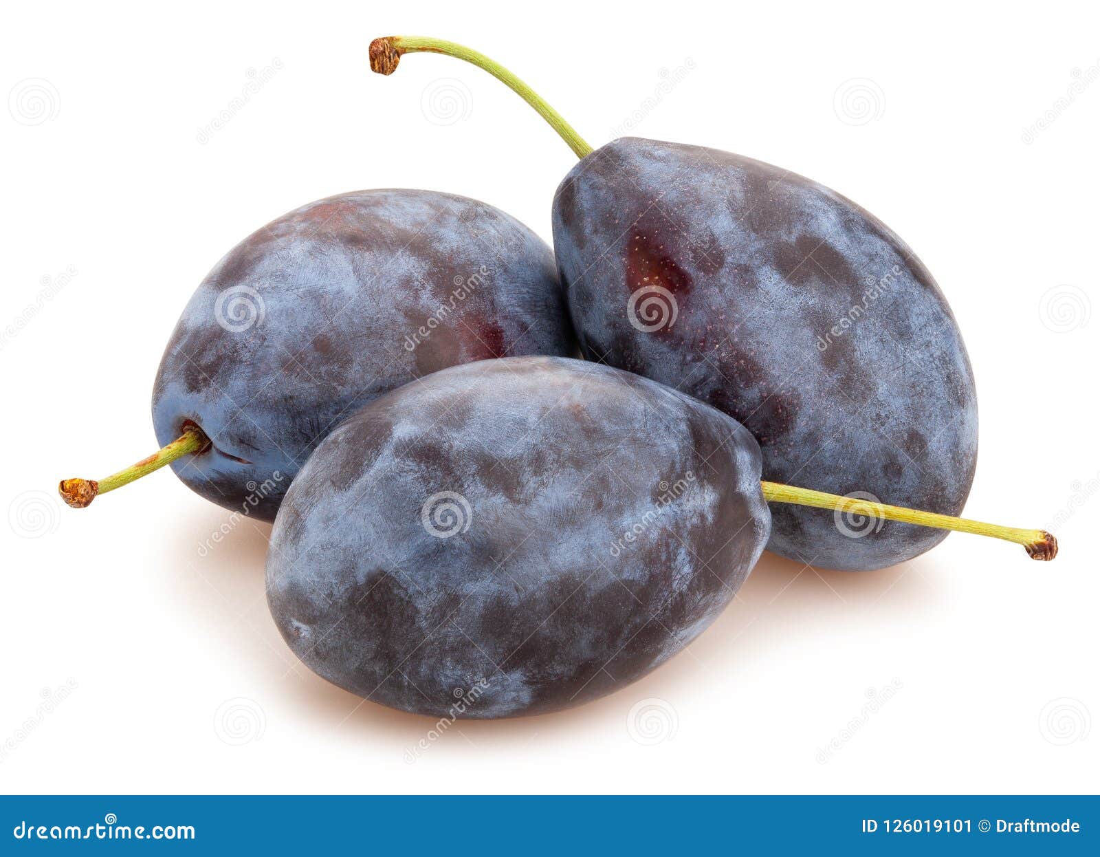 Blue plum stock image. Image of nutrient, blue, vegetarian - 126019101