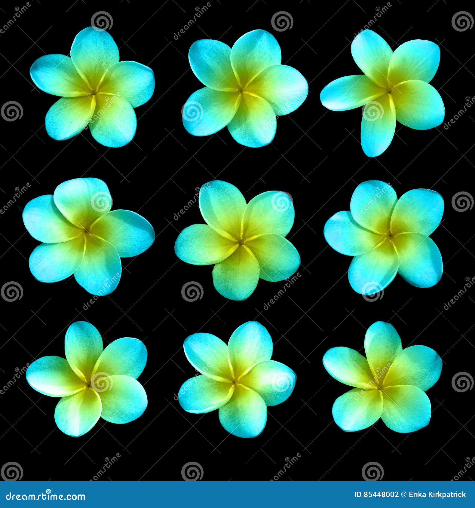 Blue And Green Plumeria
