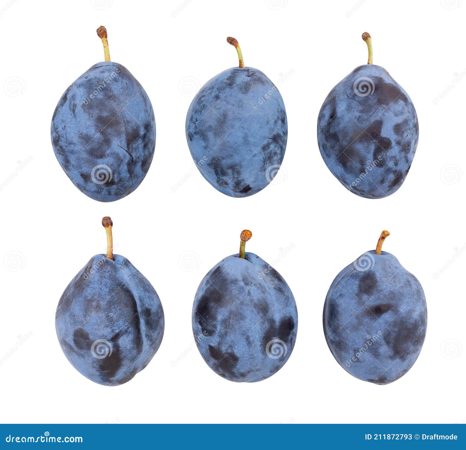 Blue plums stock image. Image of side, clipping, plum - 211872793