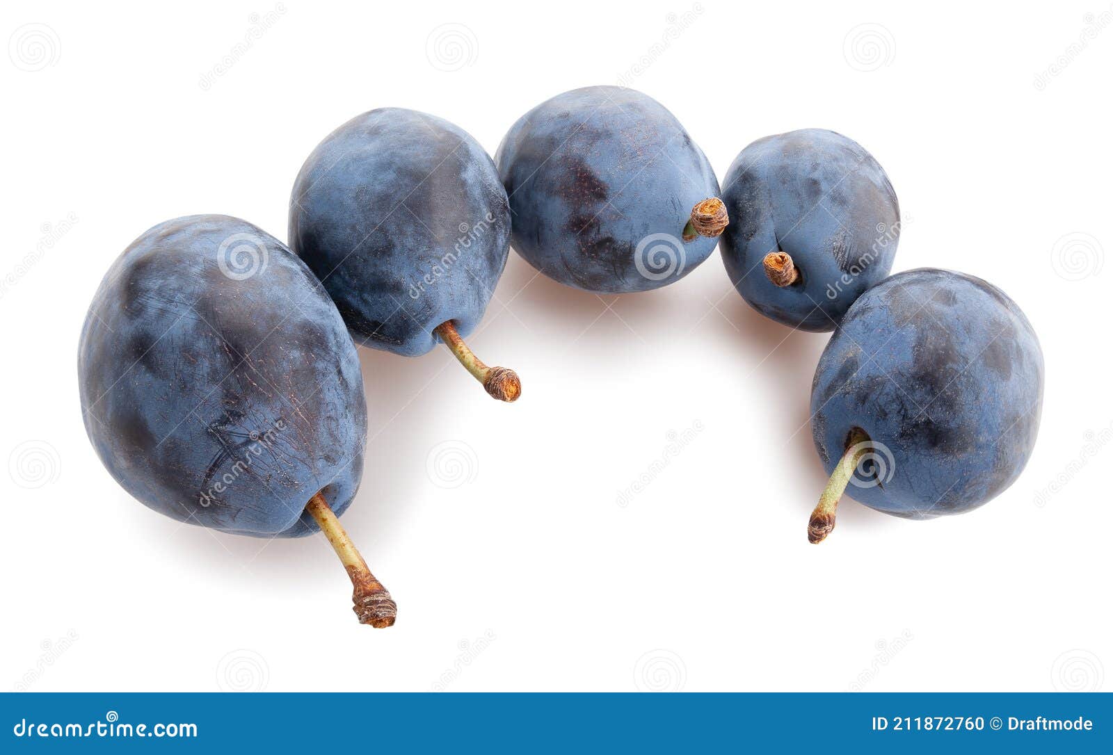 Blue plums stock photo. Image of plums, five, healthy - 211872760
