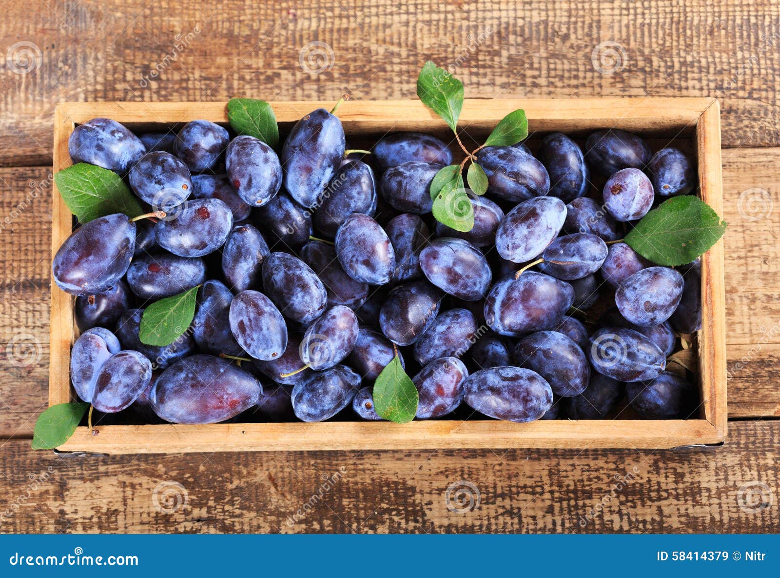 Blue plums stock image. Image of juicy, tasty, delicious - 58414379