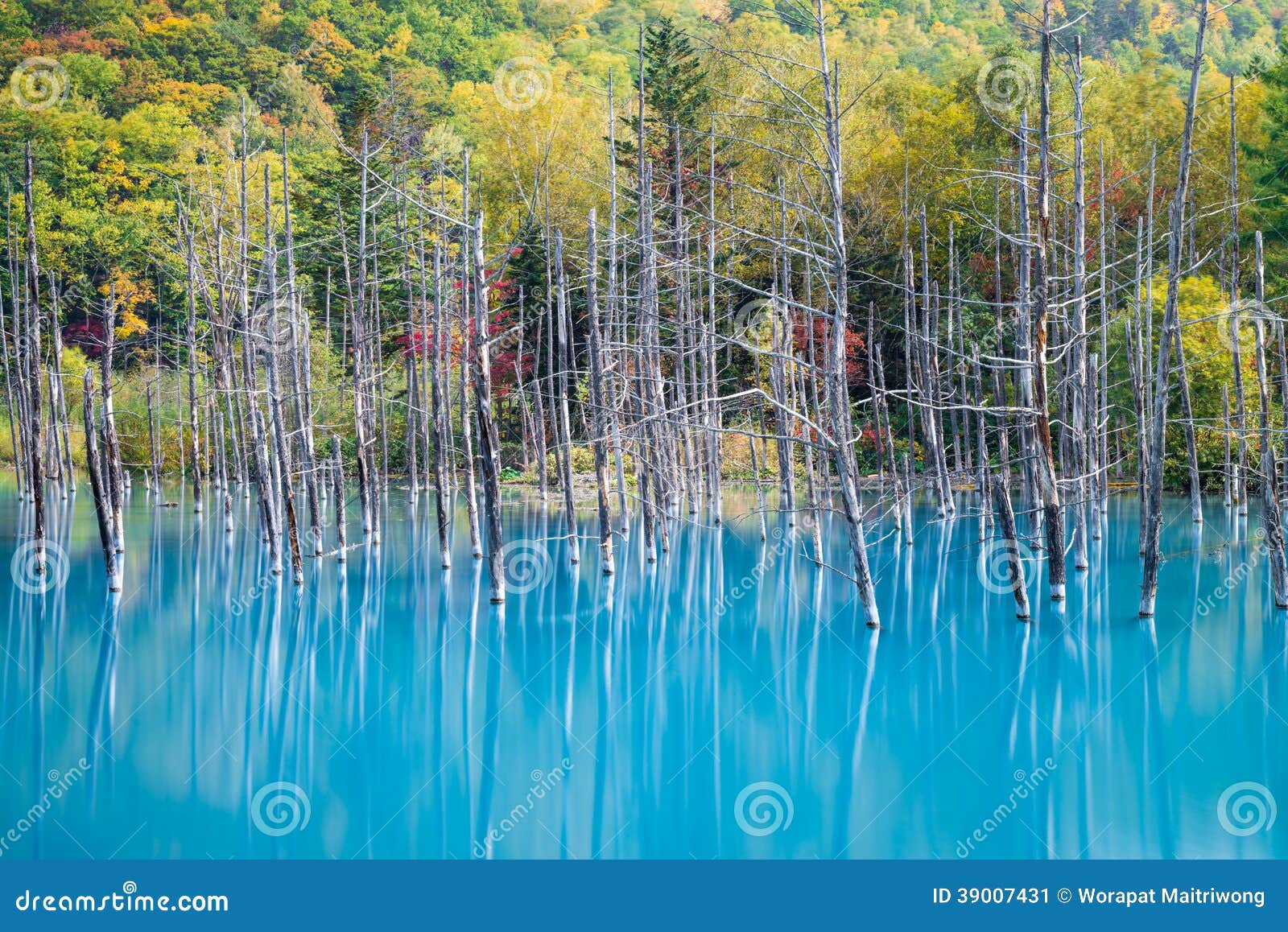 Blue pond in Hokkaido stock image. Image of famous, scenery - 39007431