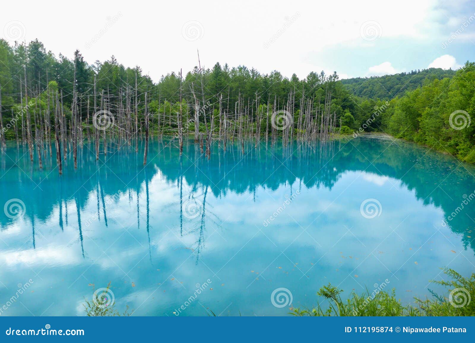 Blue Pond in Hokkaido , Japan Stock Photo - Image of clear, countryside ...
