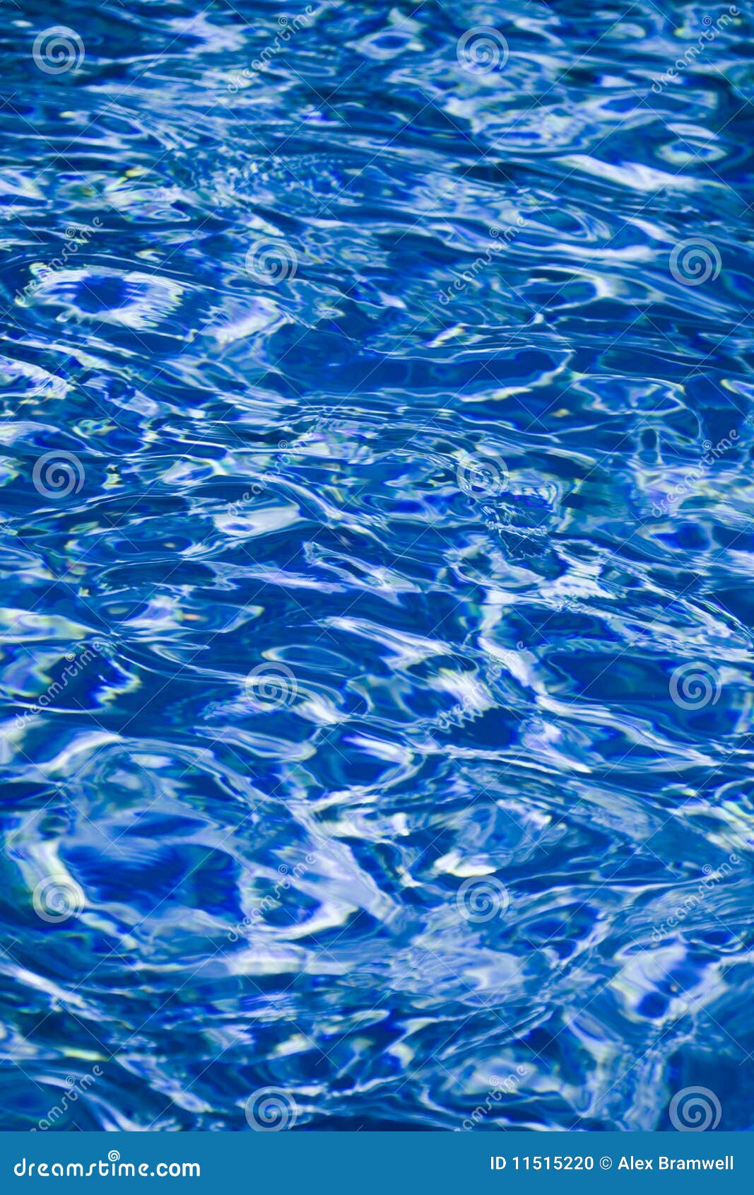 Blue Pool stock photo. Image of flowing, fresh, tropical - 11515220