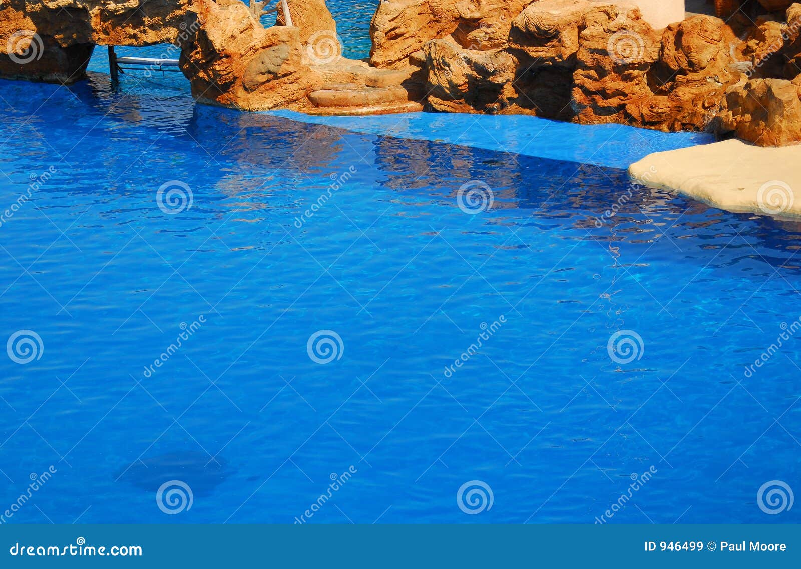 Blue Pool stock image. Image of palm, healthy, reflections - 946499