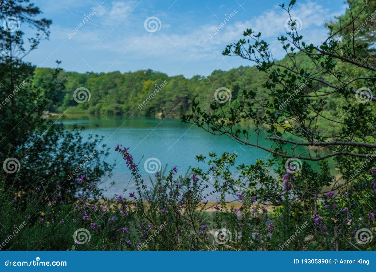 The blue pool Dorset stock photo. Image of reflection - 193058906