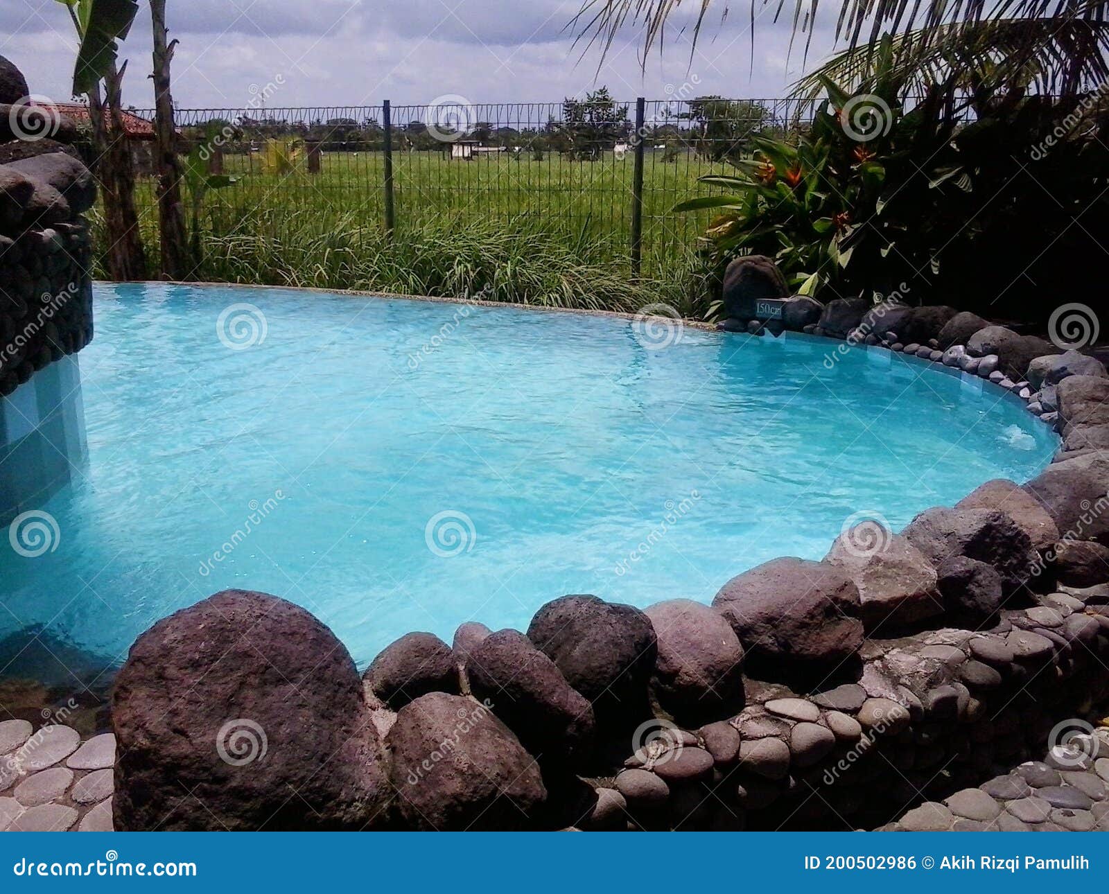 Blue Pool beside the Rice Field Stock Photo - Image of rice, pool ...