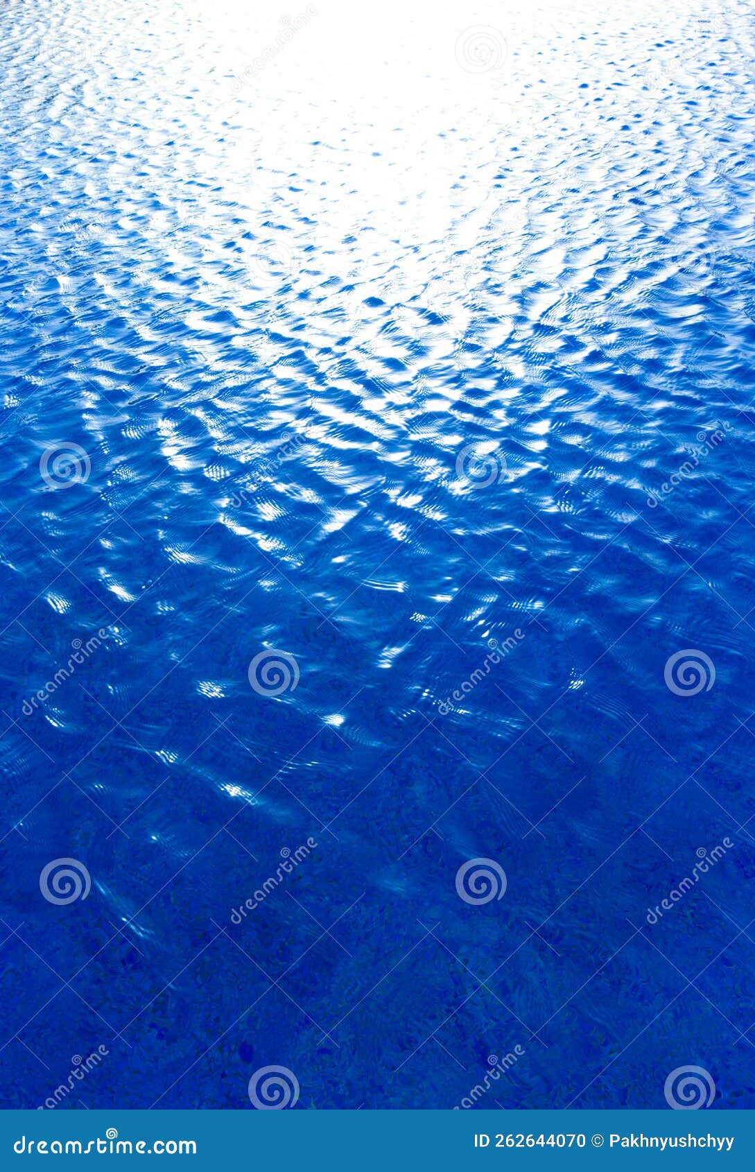 Blue pool water stock photo. Image of recreation, swimming - 262644070