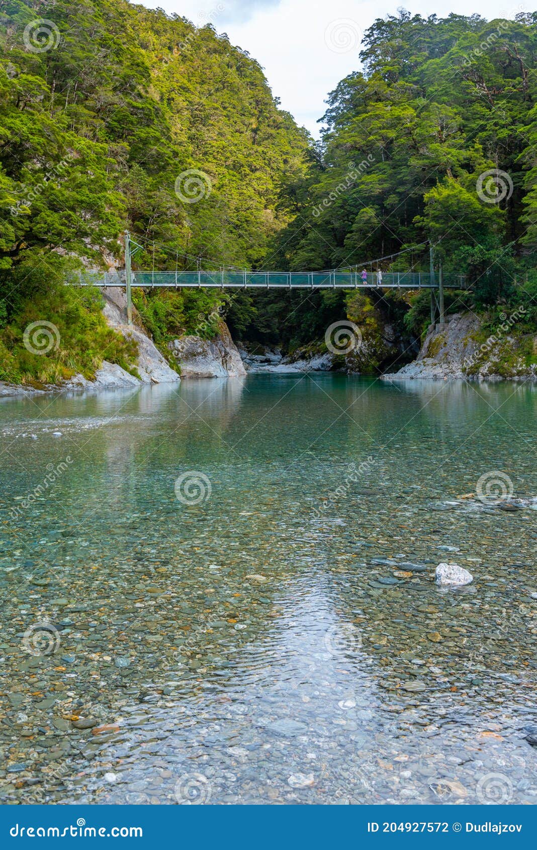 Blue Pools at Blue River in New Zealand Stock Photo - Image of ...