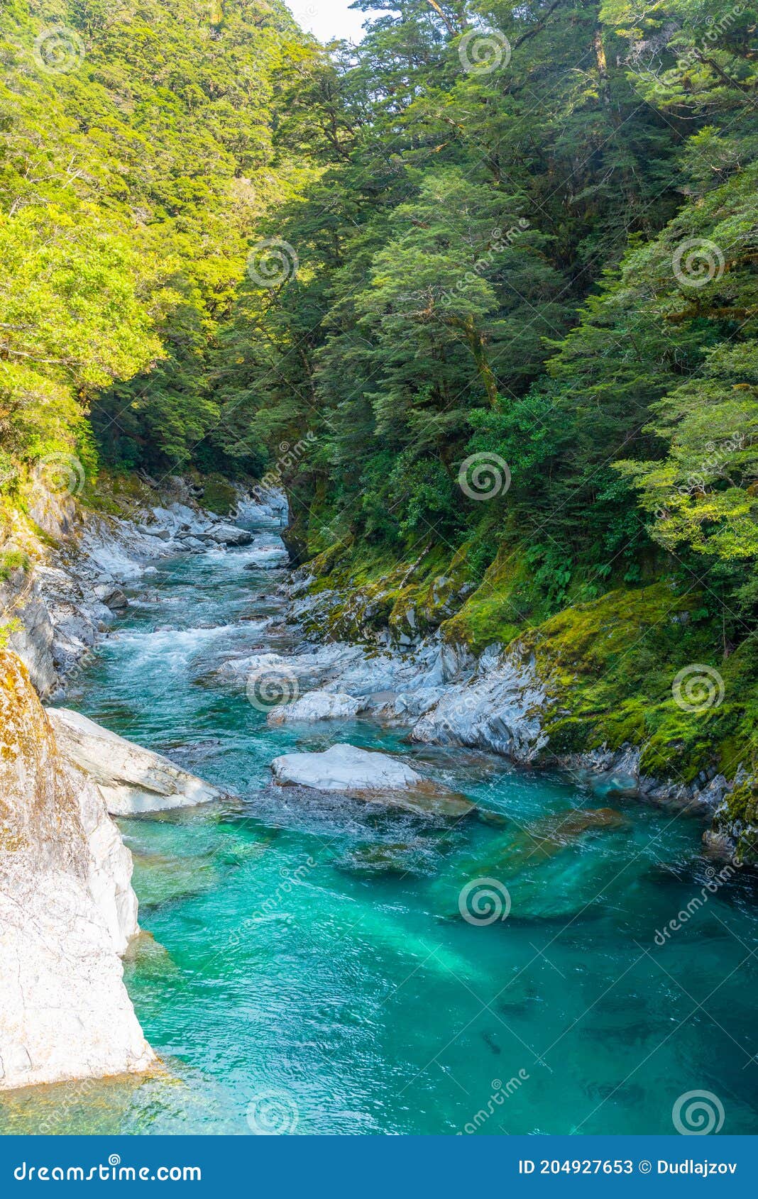 Blue Pools at Blue River in New Zealand Stock Image - Image of ...