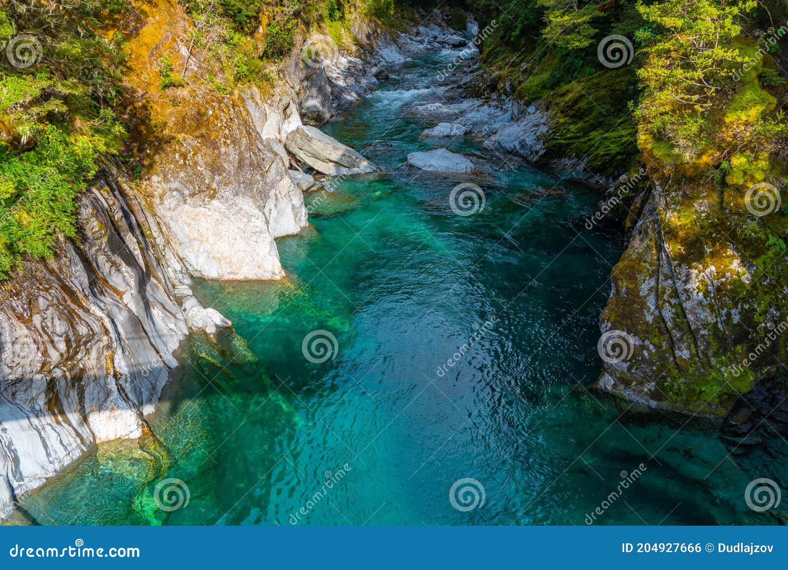 Blue Pools at Blue River in New Zealand Stock Photo - Image of gorge ...