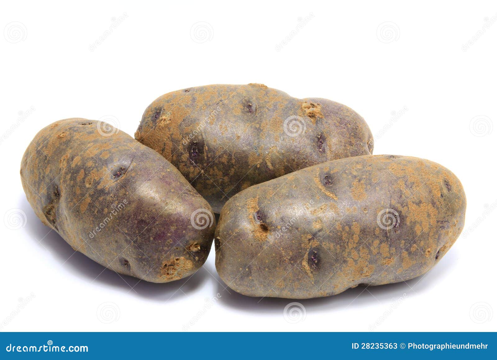 Blue Potatoes stock image. Image of potato, bulbs, tuberosum - 28235363