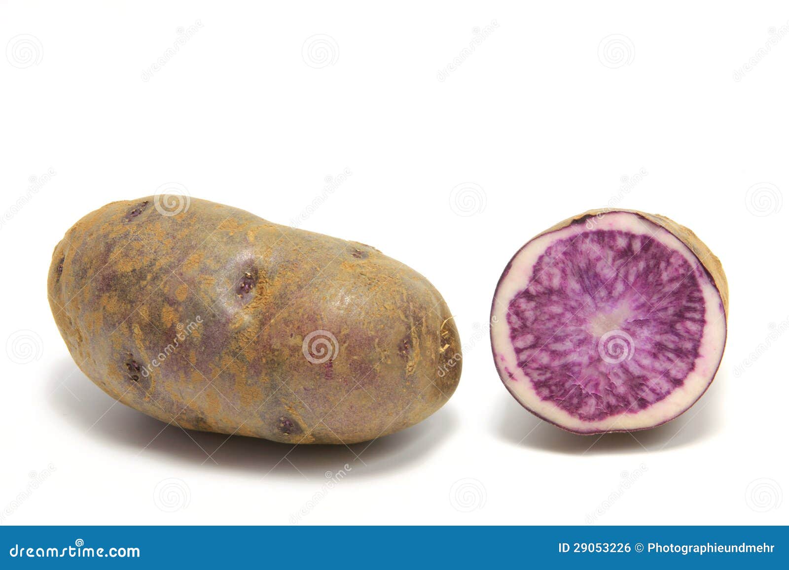 Blue Potatoes stock photo. Image of blue, space, solanum - 29053226