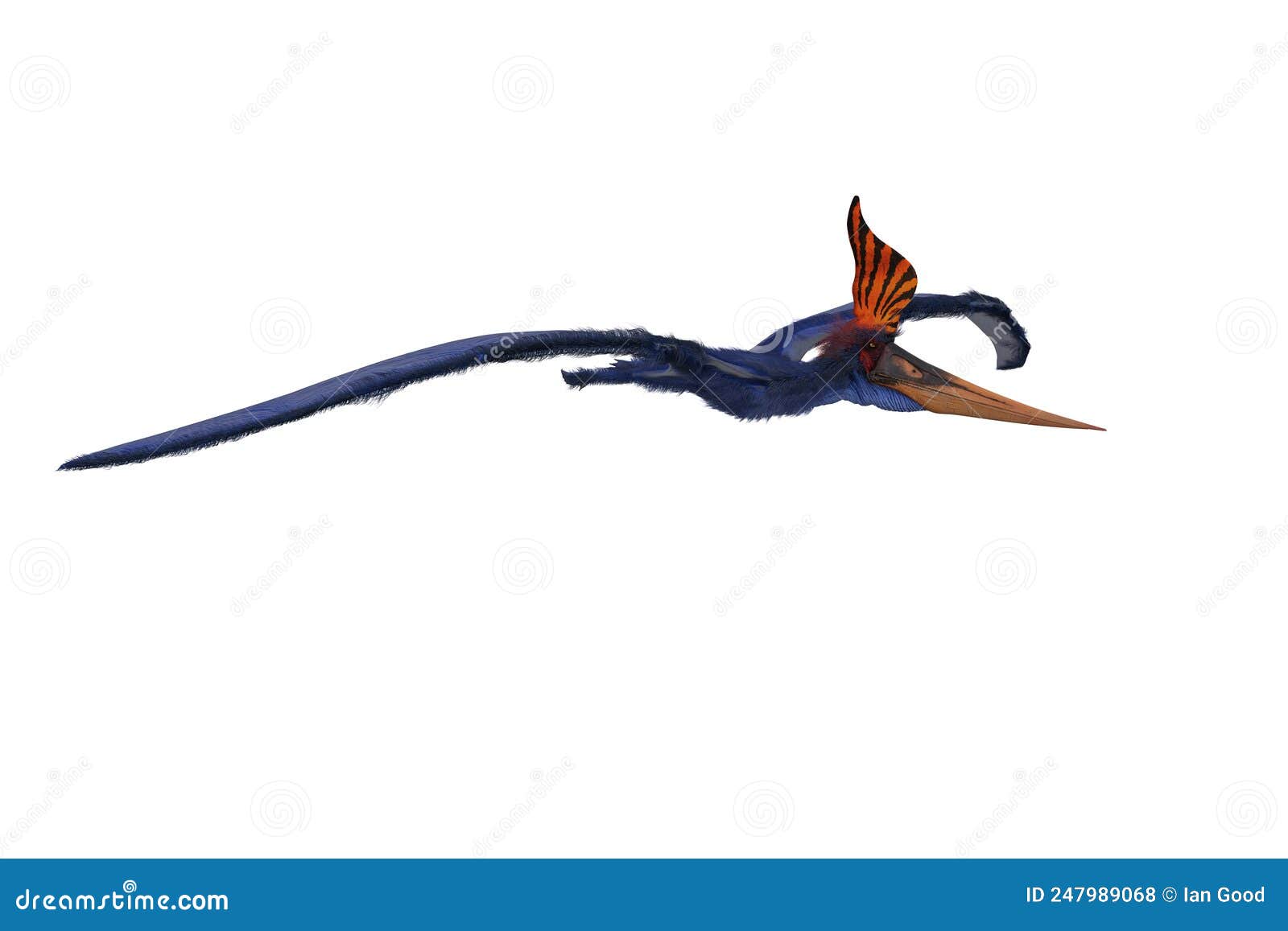 Blue Pteranodon with Orange and Black Crest Gliding. 3D Illustration ...