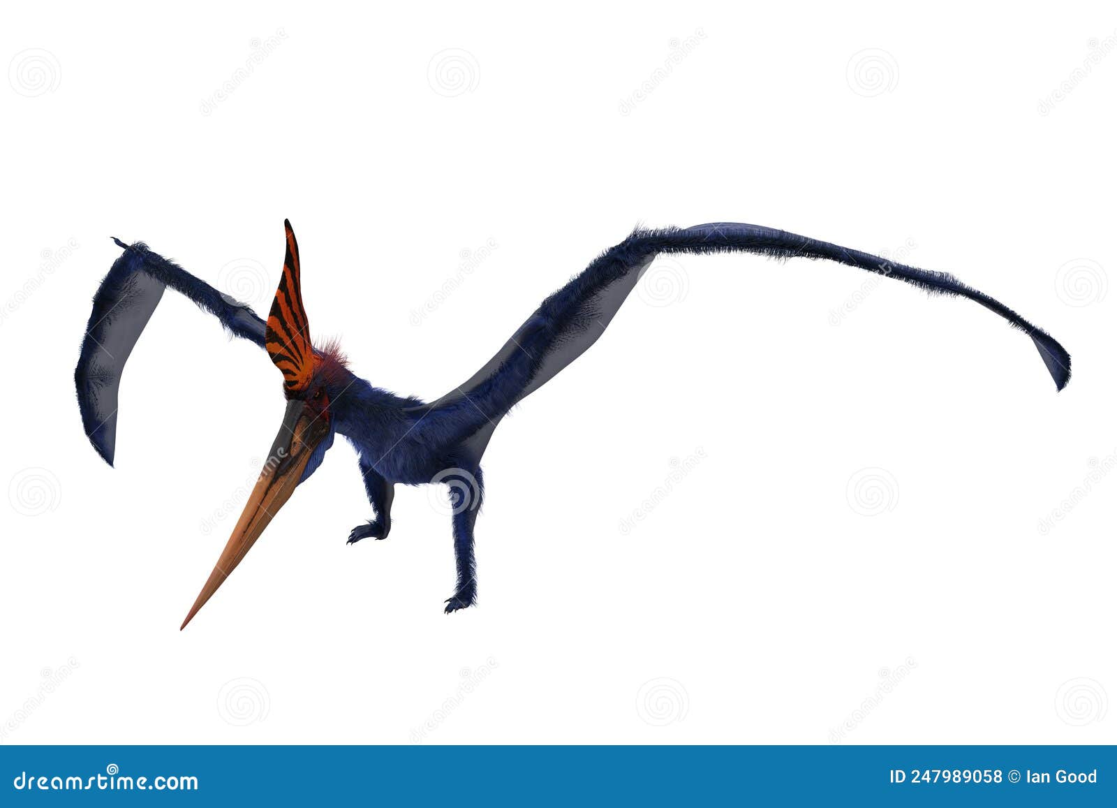 Blue Pteranodon with Orange Crest Landing on Ground. 3D Illustration ...