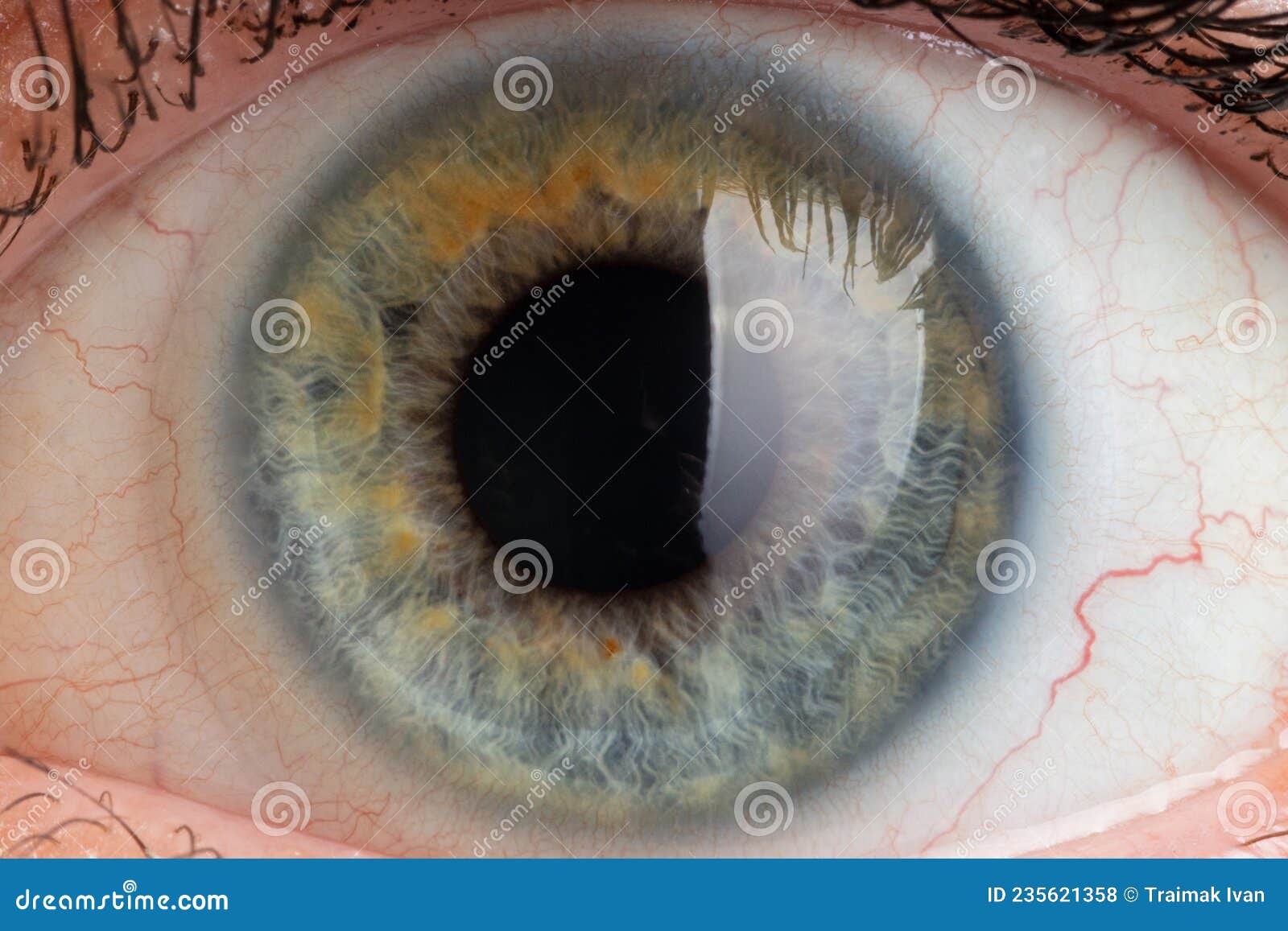 Blue Pupil on the Eye Close-up Stock Photo - Image of macro, health ...
